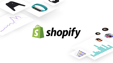 How to Power Up Your Ecommerce Business with Shopify - Novage ...